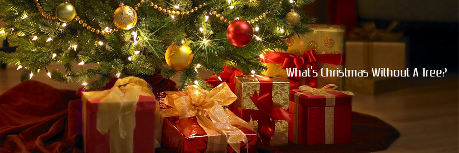 Christmas Tree Stands - Ray Grahams DIY Store